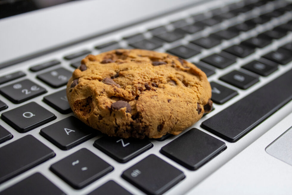 Qué son las cookies en informática | ¿Para qué sirven?