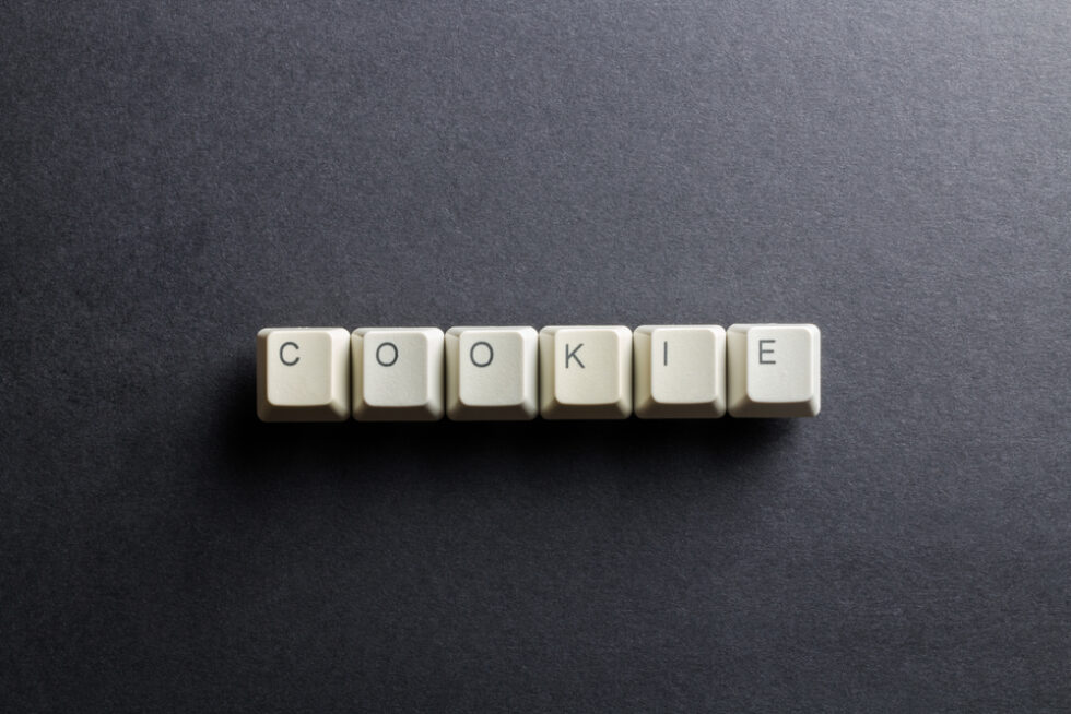 Qué son las cookies en informática | ¿Para qué sirven?